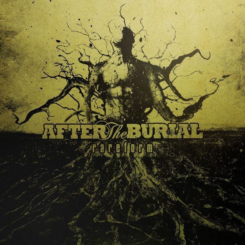 After The Burial - Rareform - hitparade.ch