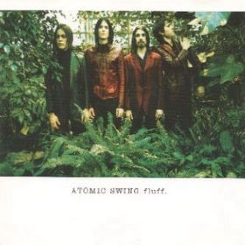 Atomic Swing - Fluff - hitparade.ch