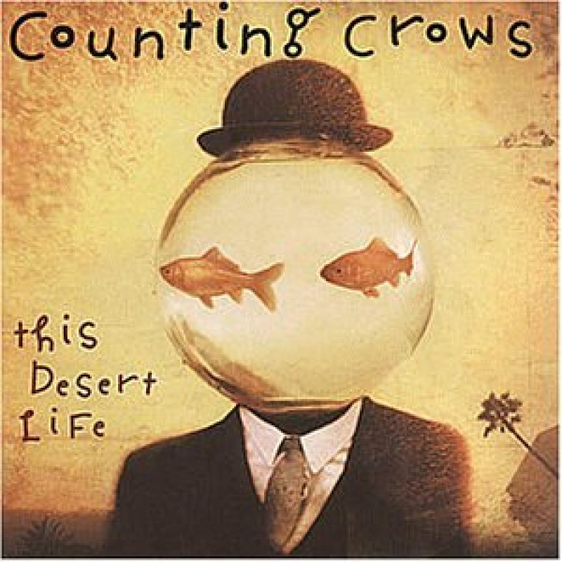 Counting Crows - This Desert Life - hitparade.ch