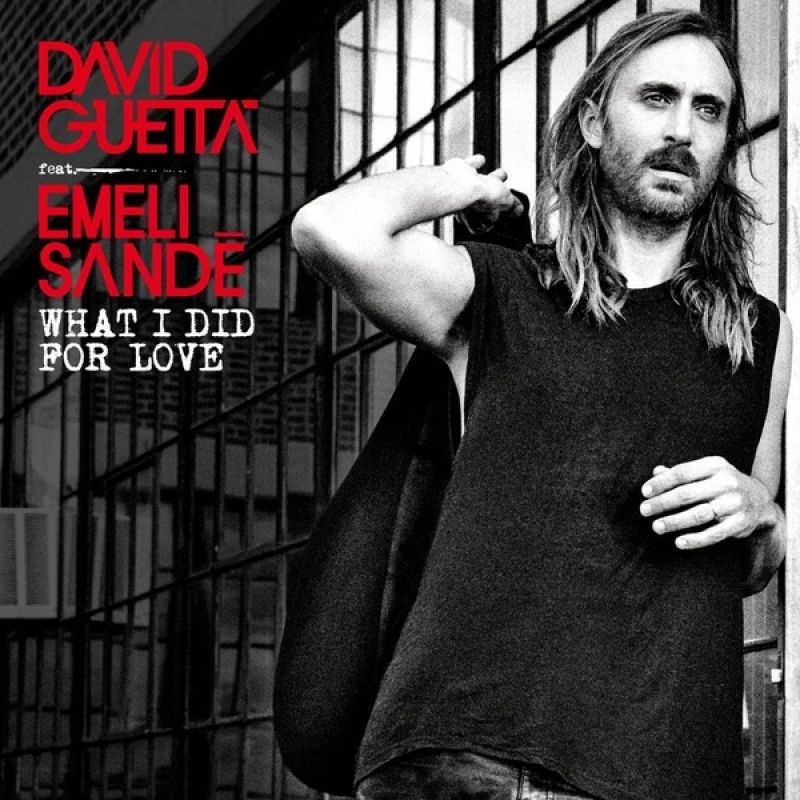 David Guetta feat. Emeli Sandé - What I Did For Love - hitparade.ch