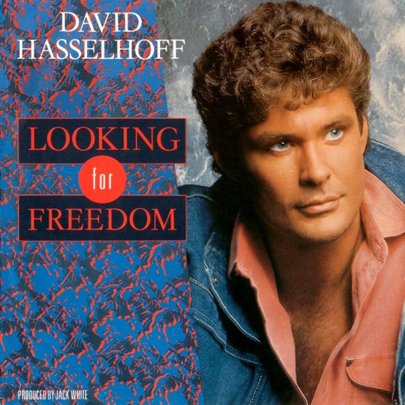 David Hasselhoff - Looking For Freedom - hitparade.ch