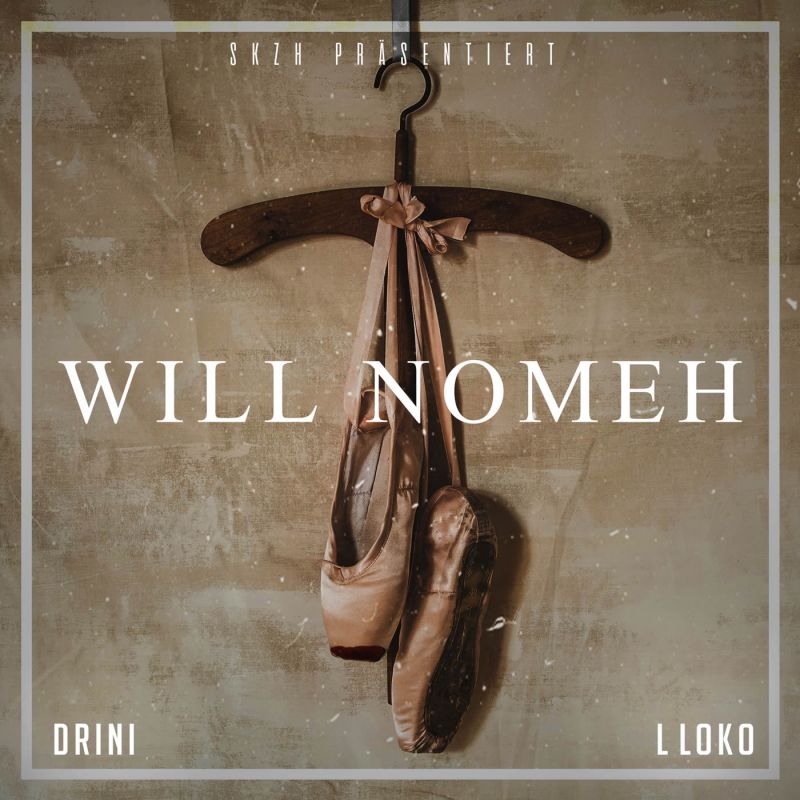 Drini / L Loko - Will nomeh - hitparade.ch