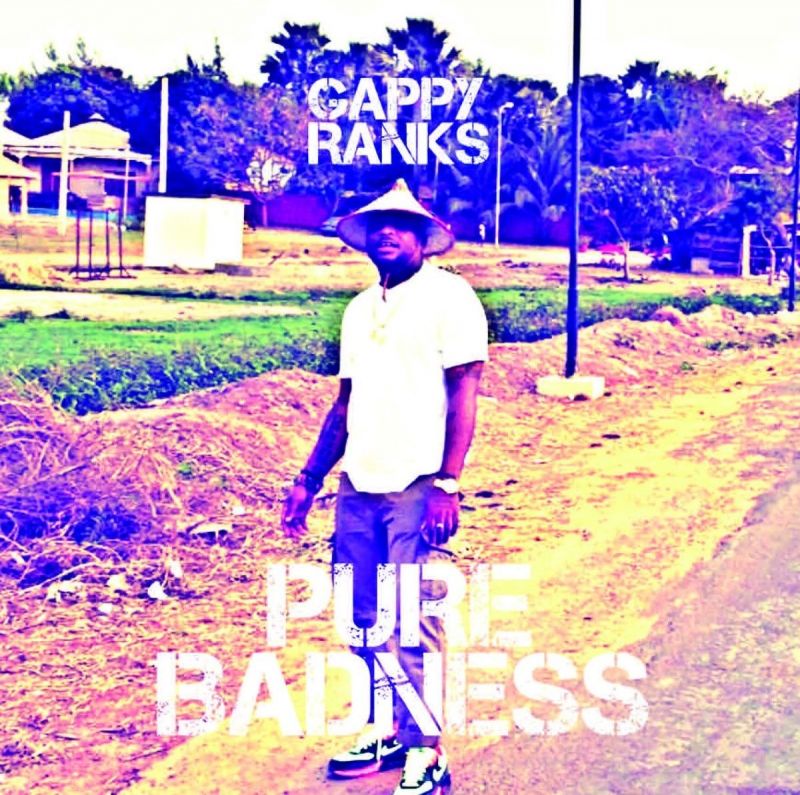 Gappy Ranks - Pure Badness - hitparade.ch