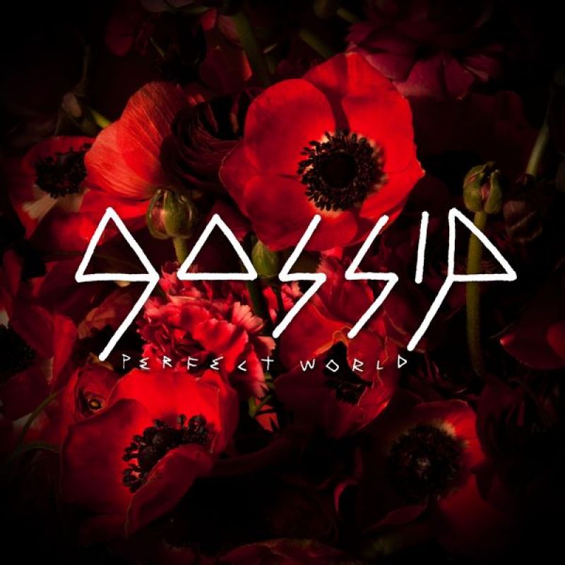 Gossip - Perfect World - hitparade.ch