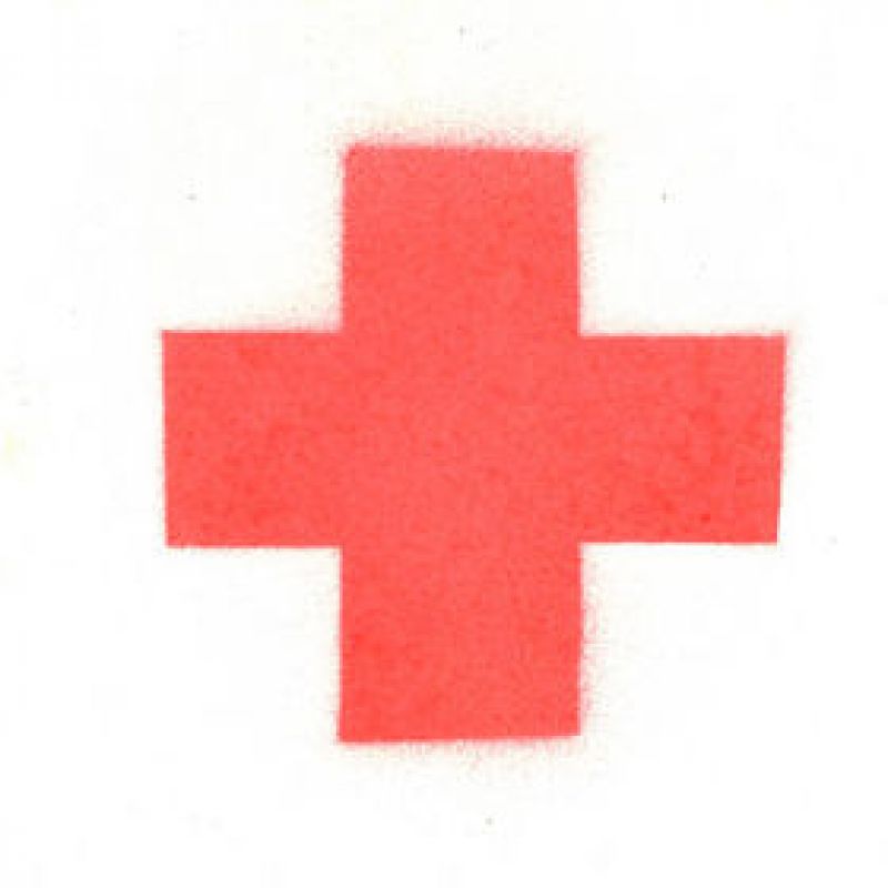 His Name Is Alive - The Emergency LP - hitparade.ch