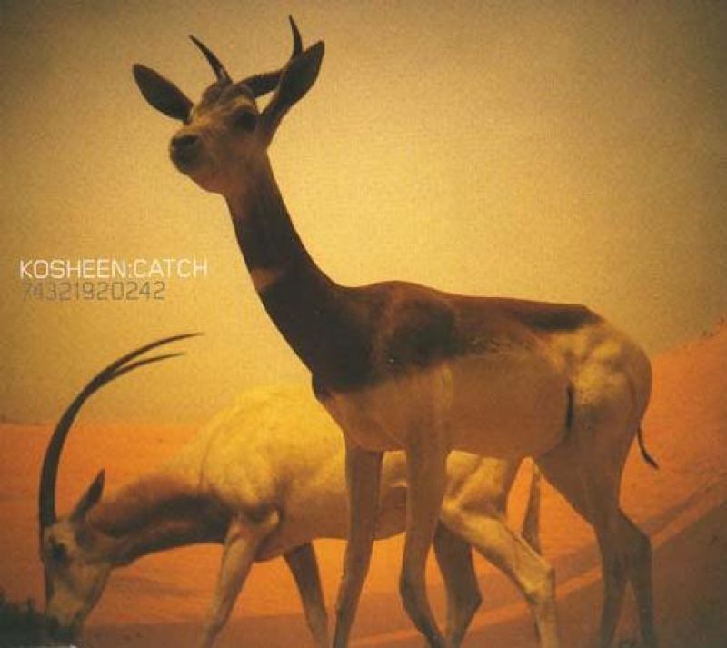 Kosheen - Catch - hitparade.ch