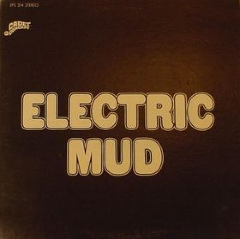 Muddy Waters - Electric Mud - hitparade.ch
