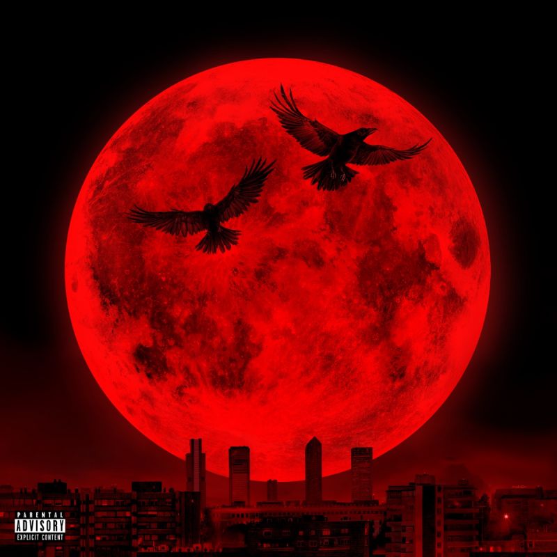 Natos y Waor - Luna llena - hitparade.ch