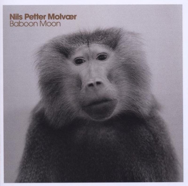 Nils Petter Molvær - Baboon Moon - hitparade.ch