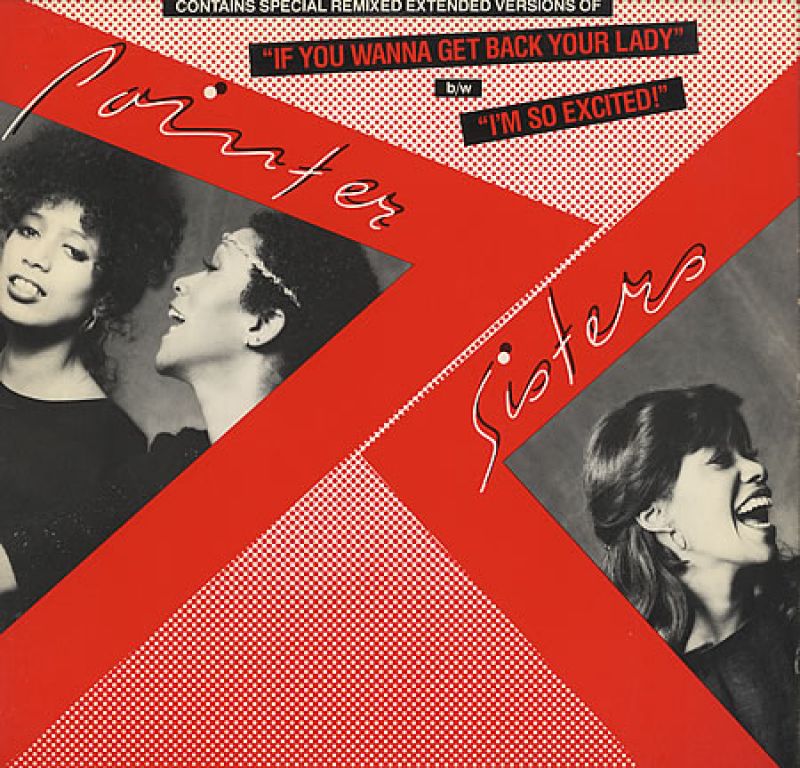 Pointer Sisters - If You Wanna Get Back Your Lady - hitparade.ch