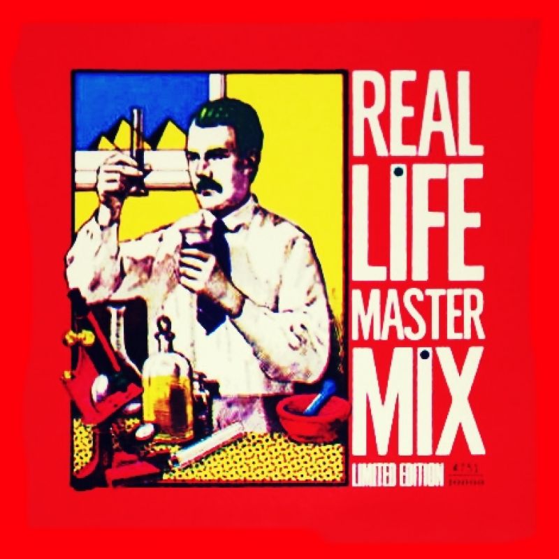 Real Life - Master Mix - hitparade.ch