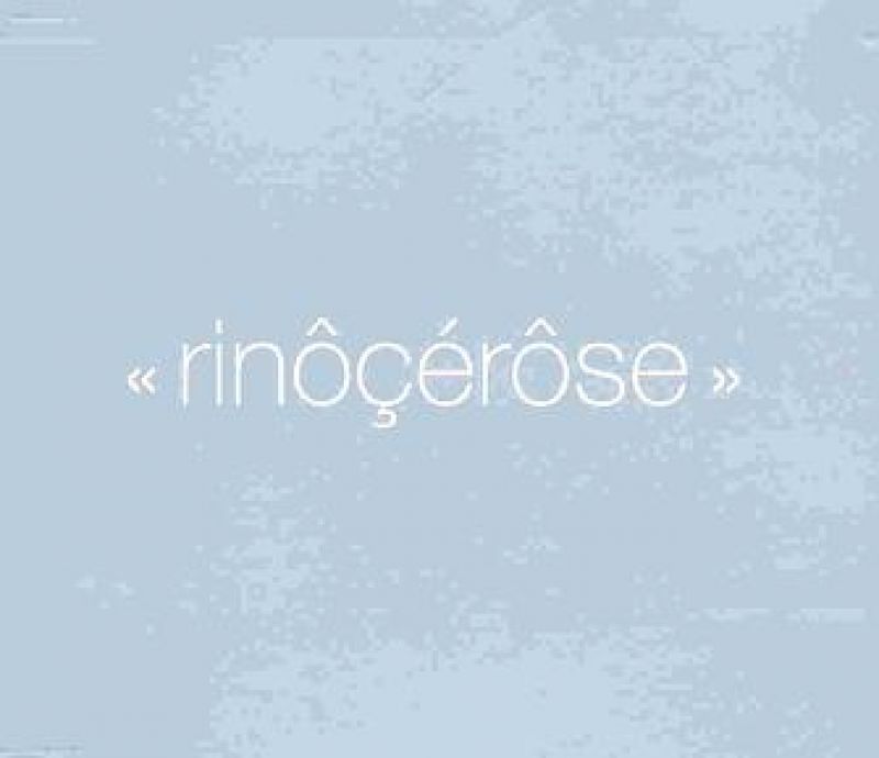 Rinôçérôse - Rinôçérôse - hitparade.ch