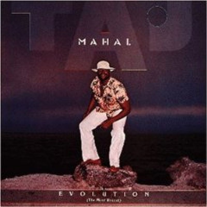Taj Mahal - Evolution - hitparade.ch