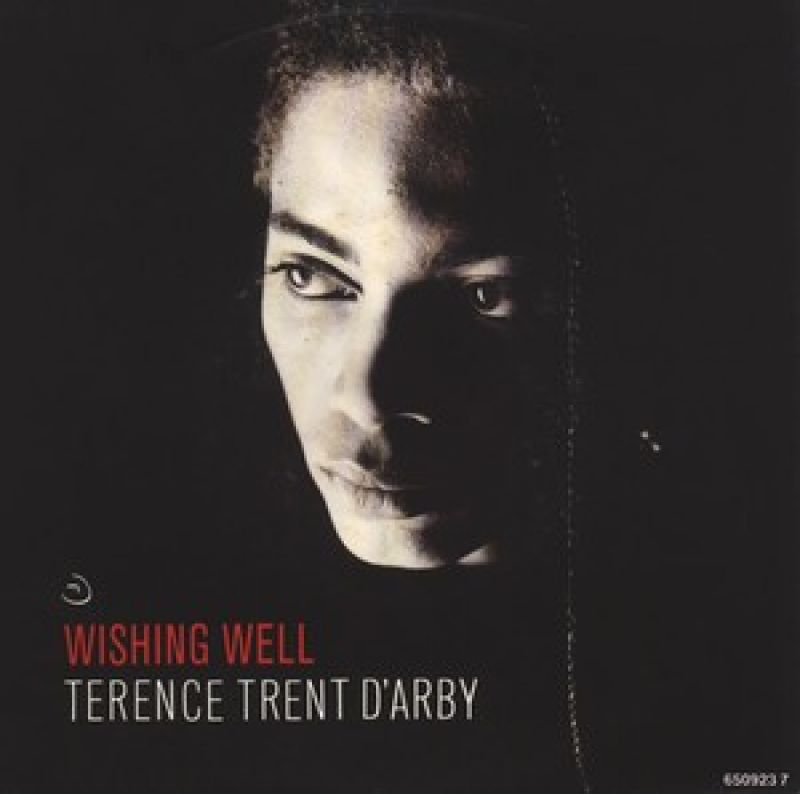 Terence Trent D'Arby - Wishing Well - hitparade.ch