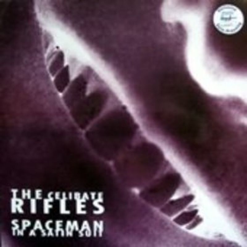 The Celibate Rifles - Spaceman In A Satin Suit - hitparade.ch