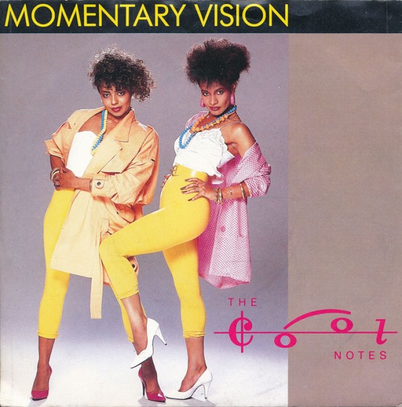 The Cool Notes - Momentary Vision - hitparade.ch