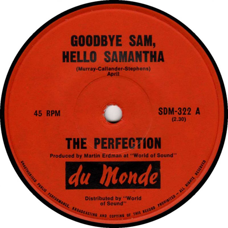 The Perfection - Goodbye Sam, Hello Samantha - hitparade.ch