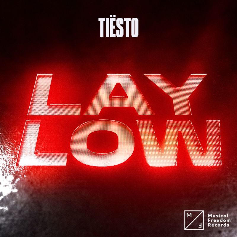 Tiësto - Lay Low - hitparade.ch