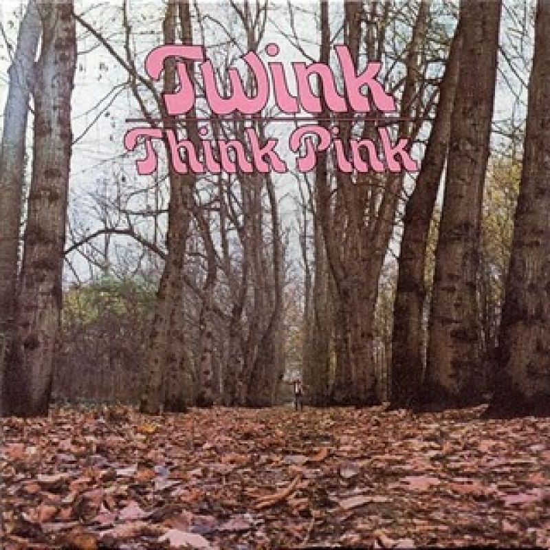 Twink - Think Pink - hitparade.ch