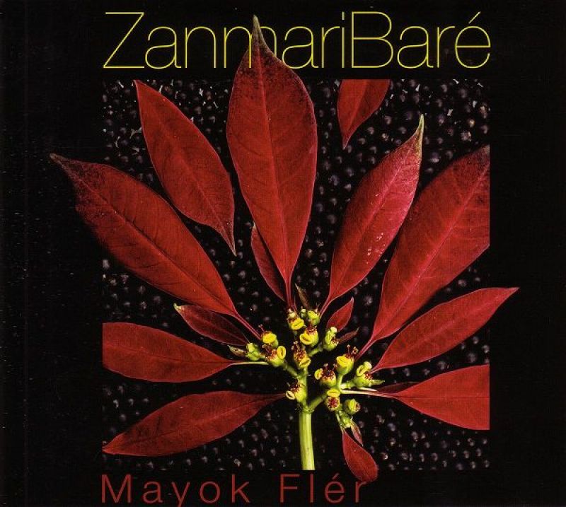 Zanmari Baré - Mayok flér - hitparade.ch